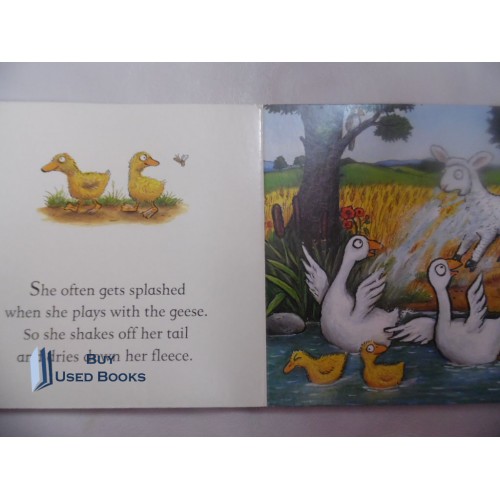 Kids - Board books - Lizzy The Lamb used book for best Price in India ...